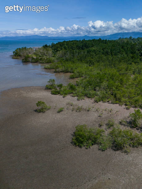 Waipia Beach in Seram Island, Central Maluku, Indonesia (2169271334 ...