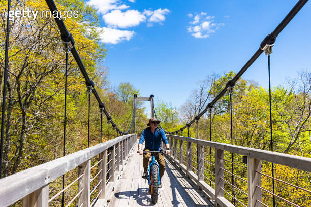 Man riding a "Fat Bike" across a wooden bridge in nature 이미지 ...