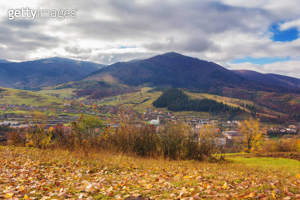 alpine countryside scenery with grassy meadows and forested rolling ...