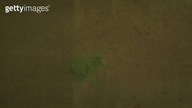 Dull weathered grain paper with green stain 이미지 (2150847698) - 게티이미지뱅크