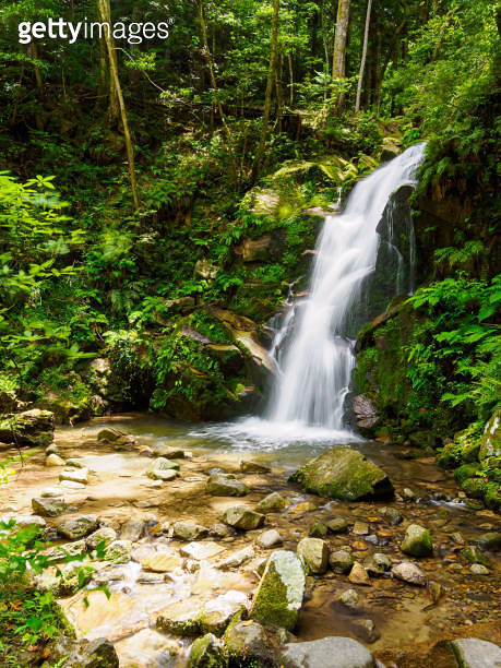 Uguisu falls in Nara Japan. (Taken on 05/30/2024) 이미지 (2155582624) - 게티 ...