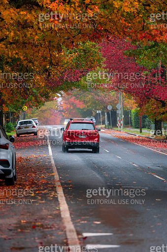 Driving through autumn foliage 이미지 (2153376488) - 게티이미지뱅크