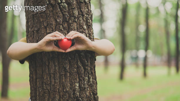 Girl hugs a tree and holds a red heart with sunlight shining over her ...