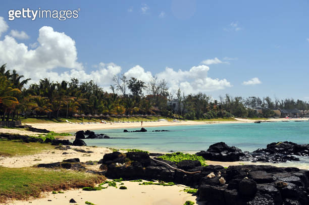 Palmar beach - basalt boulders and casuarina trees, Mauritius ...