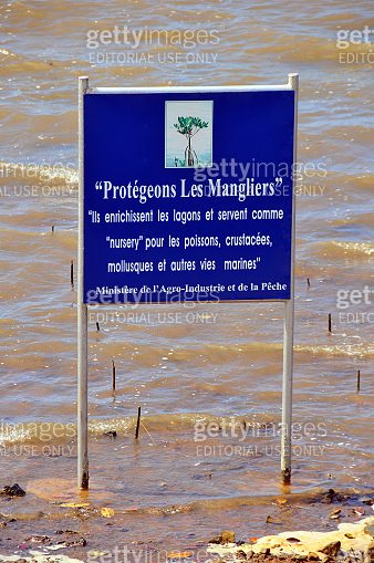 Sign alerting the public to the importance of mangroves, Mahebourg ...