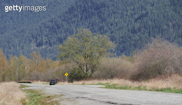 Rannie Road at the Pitt River Dike Scenic Point in Pitt Meadows 이미지 ...