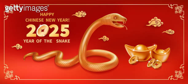 2025 Year of the Snake 22 이미지 (2166297471) - 게티이미지뱅크