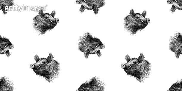 Boar head, pig, swine, piglet, wild animal, seamless pattern ...