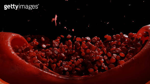 blood stream. red blood cells. Inside human body. 3d rendering. 이미지 ...