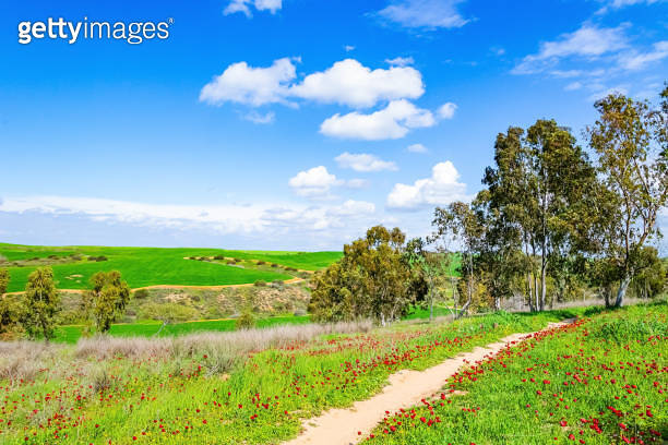 Beautiful February day. 이미지 (2155489311) - 게티이미지뱅크