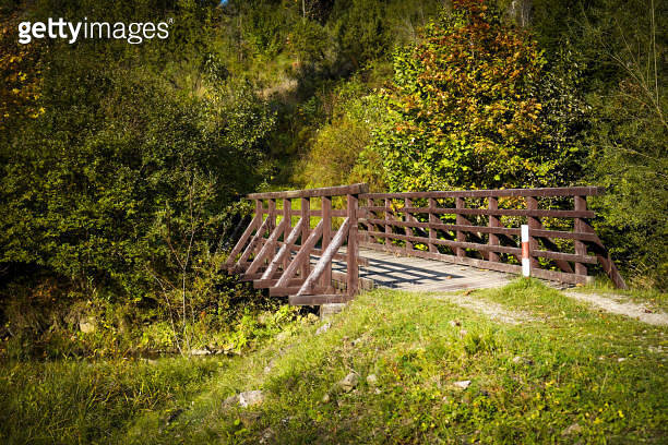 Wooden bridge across mountain creek in Biala Woda nature reserve in ...