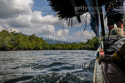 Going up the river in the forest of the Morowali nature reserve 이미지 ...