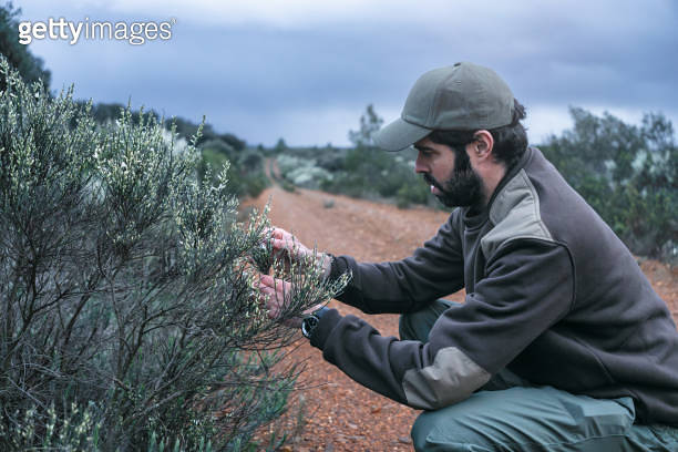 Ecologist Botanist working on the National park Reserve controlling ...