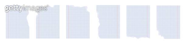 Set of torn paper snippets. Red margin line on a checkered notebook ...