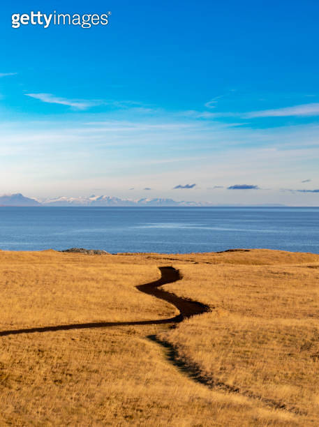 A long, narrow path winds through a dry grass field (2168766361) - 게티이미지뱅크