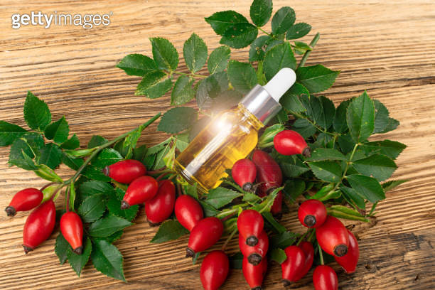 Wild Rose Essential Oil, Rose Hip Extract, Rosehip Extraction, Dog Rose ...