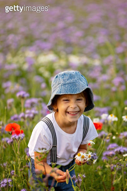 Beautiful school child in a flower field on sunset, playing with ...