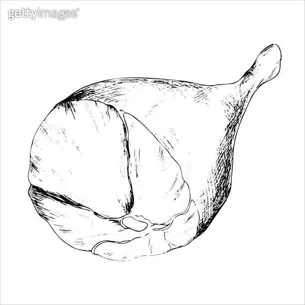 Graphic drawing of ham. Hand drawn vector sketch of meat 이미지 ...