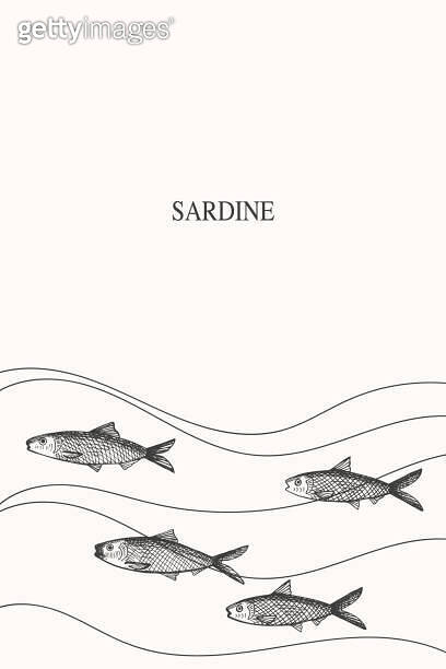 Sardine fish frame label background for text hand drawn border.Template ...