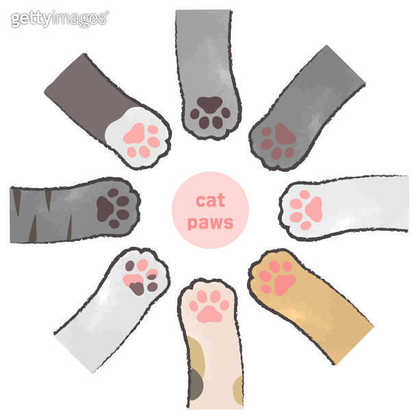 A set of many cat's paws in a circle 이미지 (2149639977) - 게티이미지뱅크