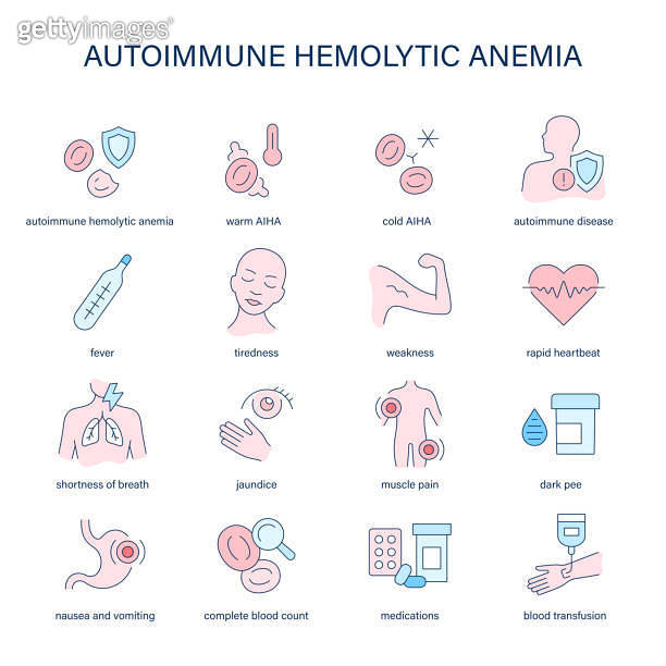 Autoimmune Hemolytic Anemia symptoms, diagnostic and treatment vector ...
