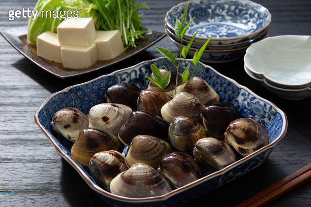 Clam dishes, real clams, Japanese clams, clam hotpot, seafood ...