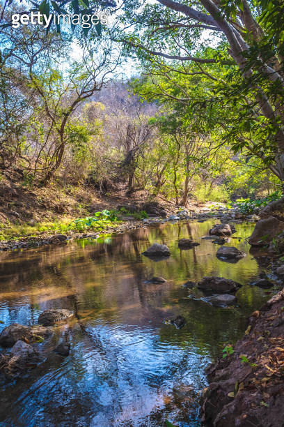 River with crystal clear waters in palmillas Guerrero, Mexico 이미지 ...