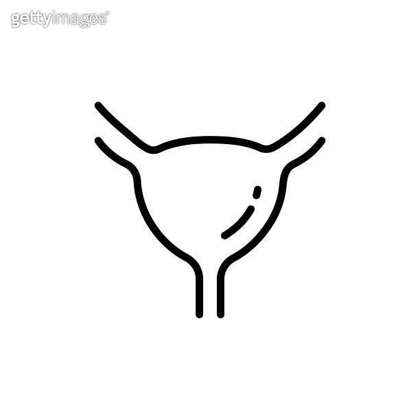 Bladder, diagnostic and treatment line icon. Simple vector icons for ui ...