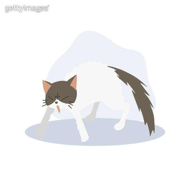 Cat in Aggressive Posture with Fluffed Up Fur. Frightened Cat. Scared ...