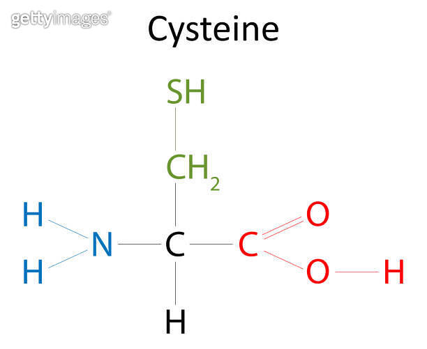 The chemical structure of Cysteine. 이미지 (1982878414) - 게티이미지뱅크