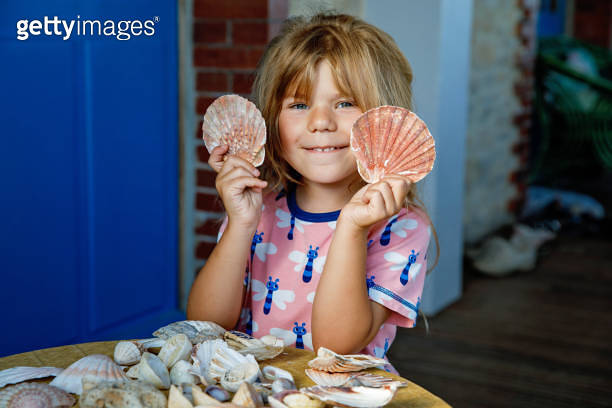 Little preschool girl with variation of different shells and clams at ...