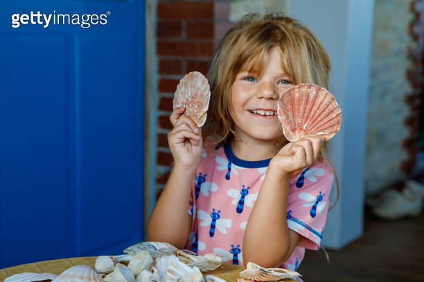 Little preschool girl with variation of different shells and clams at ...