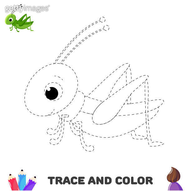 Trace and color educational worksheet for kids. Tracing grasshopper ...