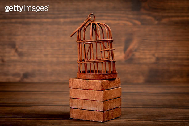 Rusty bird cage on wood texture background. Captivity, prison and the ...