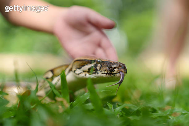 In the low-angle view, a student is attentively participating in an ...