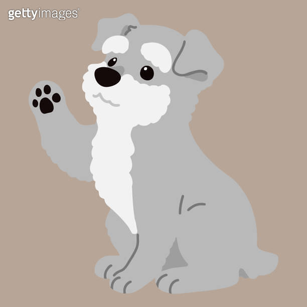 Simple and cute illustration of Miniature Schnauzer sitting and waving ...