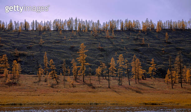 Glacial erosion of the coastal slope in the floodplain of the taiga ...