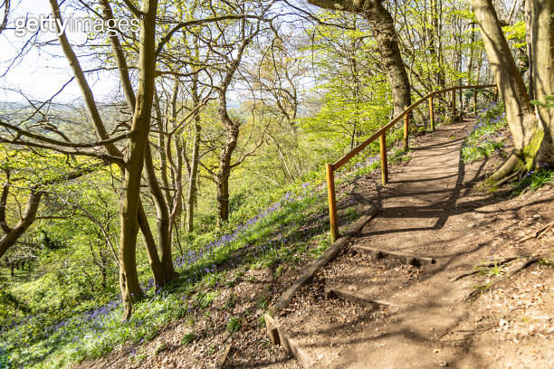 Forest footpath near Guildford Surrey England 이미지 (2152852207) - 게티이미지뱅크