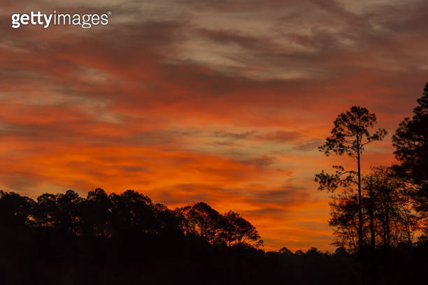 Fire colors on underside of clouds, as sun rises behind silhouetted ...