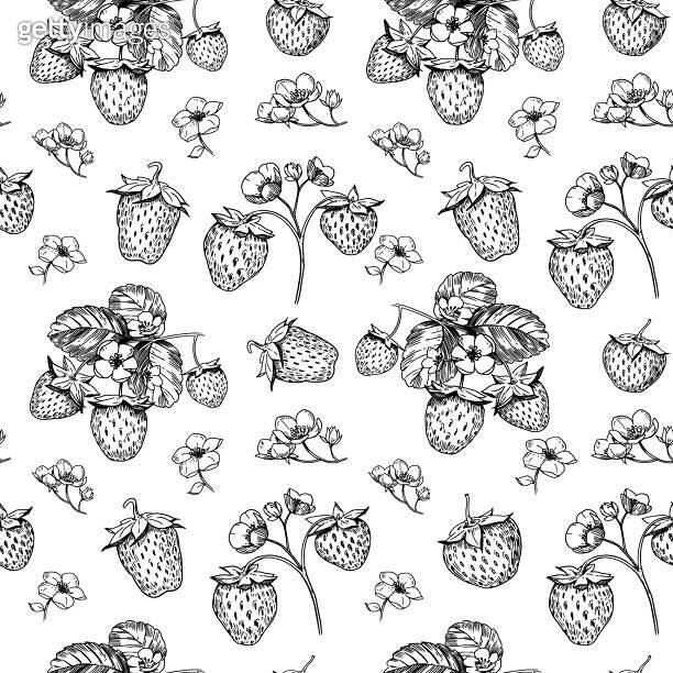 Strawberries, seamless pattern, realistic sketches, vector ...