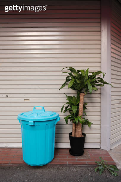 Blue plastic garbage bin and pot plant 이미지 (1873476943) - 게티이미지뱅크