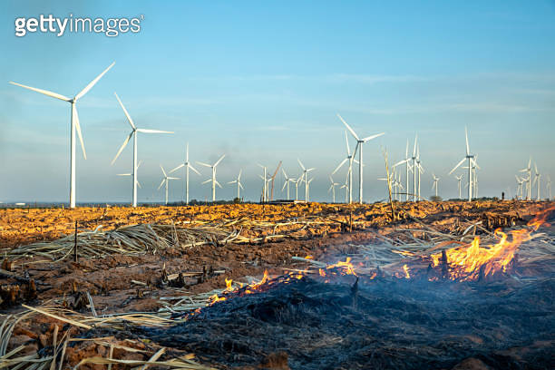 Toxic fumes from burning sugarcane or dry grass cause dangerous ...