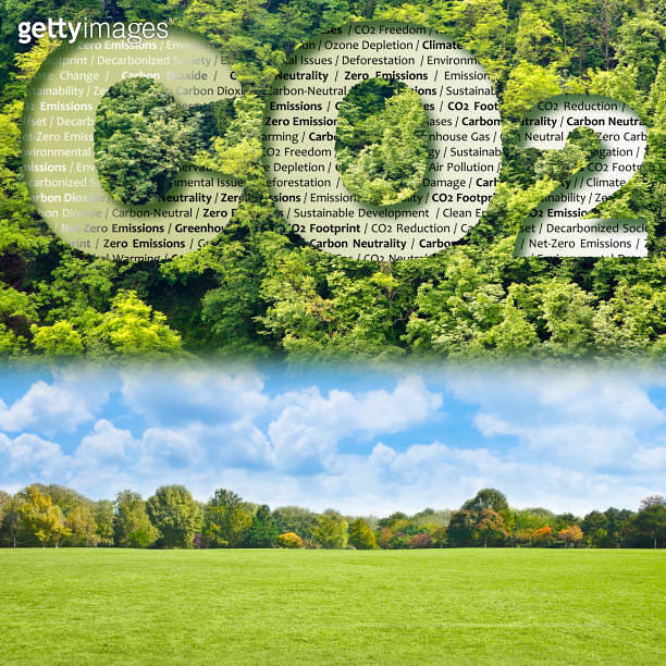 CO2 Net-Zero Emission - Carbon Neutrality concept against a forest with ...