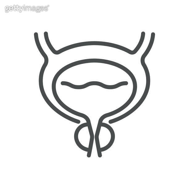 Enlarged Prostate Icon. Line Illustration of a Prostate Gland ...