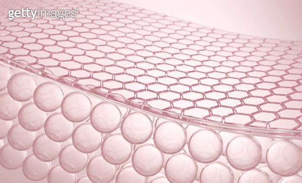 Pink skin layer and skin cells. 이미지 (2157775378) - 게티이미지뱅크