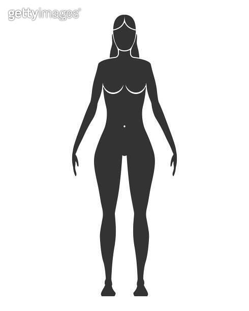 Woman body shape. Female figure silhouette. Vector illustration image ...