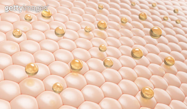 Oil Serum on Skin Cells, gluta cosmetic Vitamin, skin care cosmetics ...