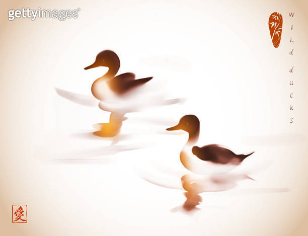 Ink painting with a pair of ducks gliding gracefully across serene ...