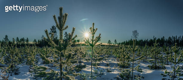 Scenic close up panorama on winter Sunset, Sun shine from blue sky over ...