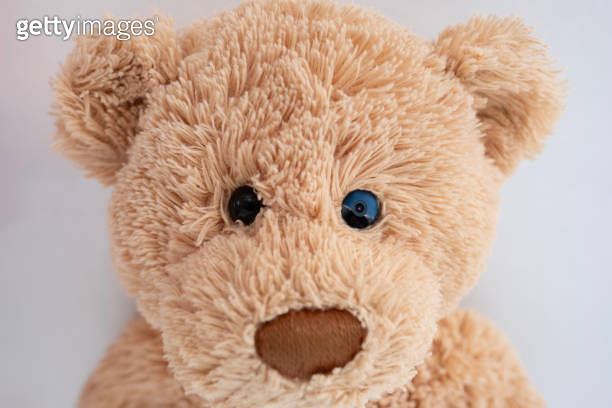 Tiny Miniature hidden surveillance camera embedded in teddy bear's eye ...